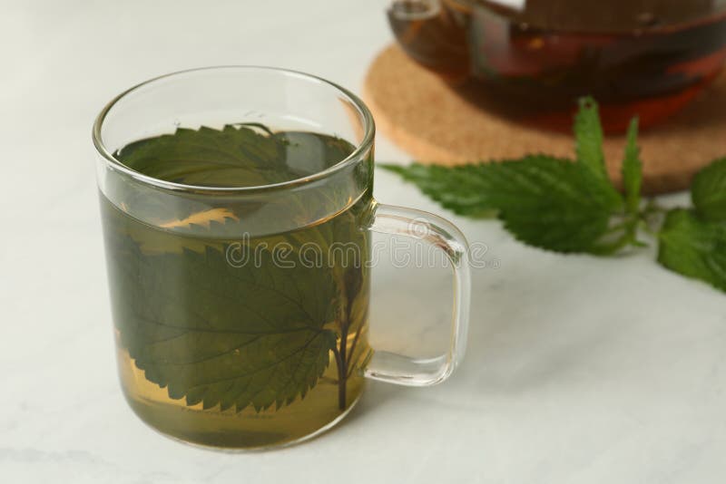 Cup of Aromatic Nettle Tea and Green Leaves on White Wooden Table ...