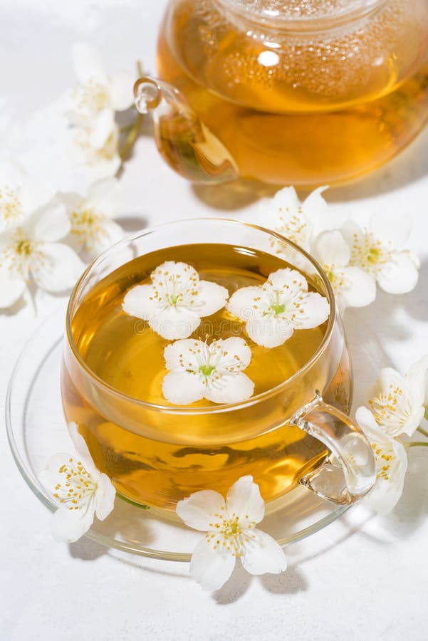 Glass Cup of Fresh Fragrant Green Tea with Jasmine on White Background ...