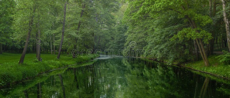 247 Half Full Tea Cup Stock Photos - Free & Royalty-Free Stock Photos ...