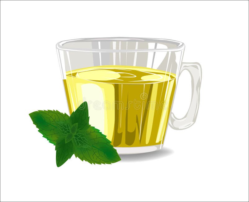 Glass cup of tea with mint stock vector. Illustration of breakfast ...