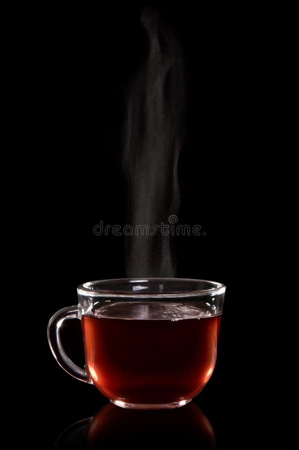 Tea Plucking in South India Editorial Stock Image - Image of leaf ...