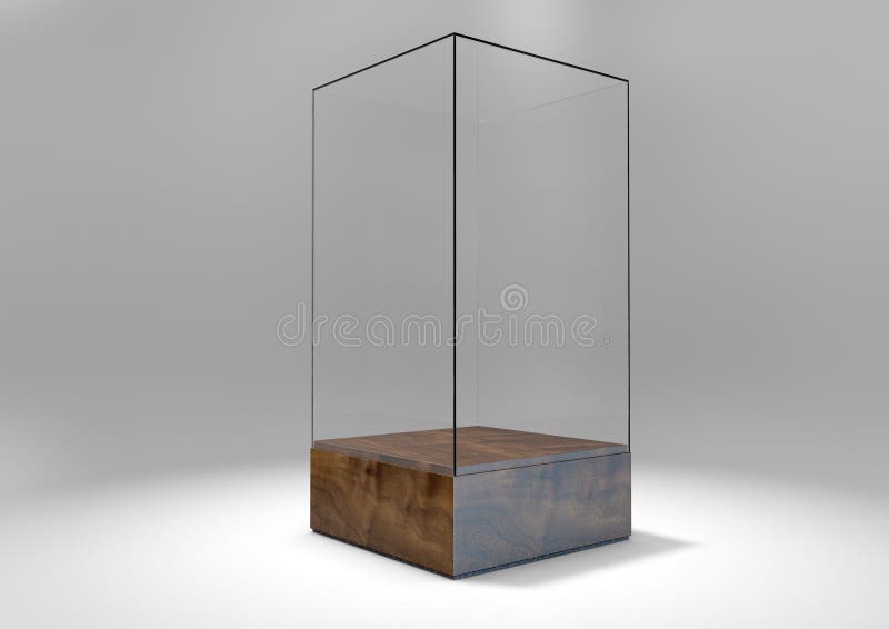 Empty Museum Display Case