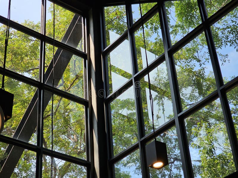 Cafeskytree Stock Photos - Free & Royalty-Free Stock Photos from Dreamstime