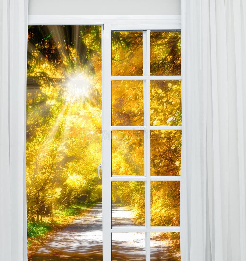Glass Door Autumn Landscape Stock Photo - Image of fall, indoor: 255365834
