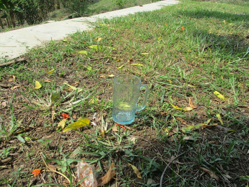 Glass without Drinking Water Aka Empty Stock Photo - Image of forest ...