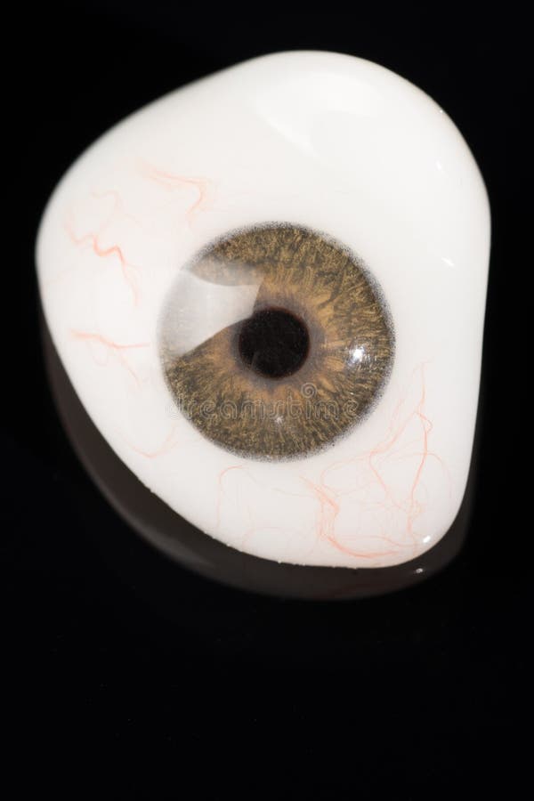 Glass Eye Prosthetic Extraction of Ocular Prosthesis Stock Image ...