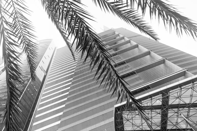 Building Facade Architecture with Palm Trees. Building Facade ...