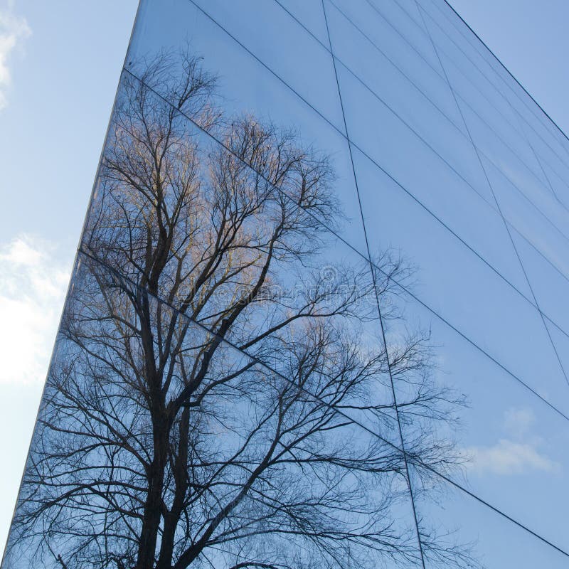 Glass Facade and Reflection of Trees Stock Image - Image of city ...