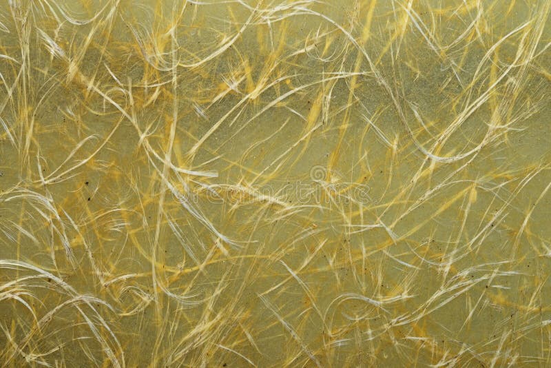 Glass fiber stock photo. Image of fine, abstract, design - 37208196