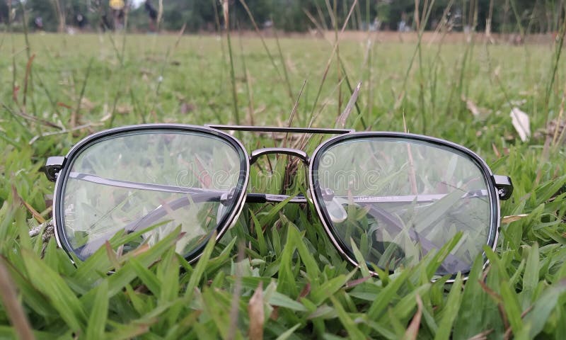 A Glass in Field in Afternoon Editorial Image - Image of grass ...