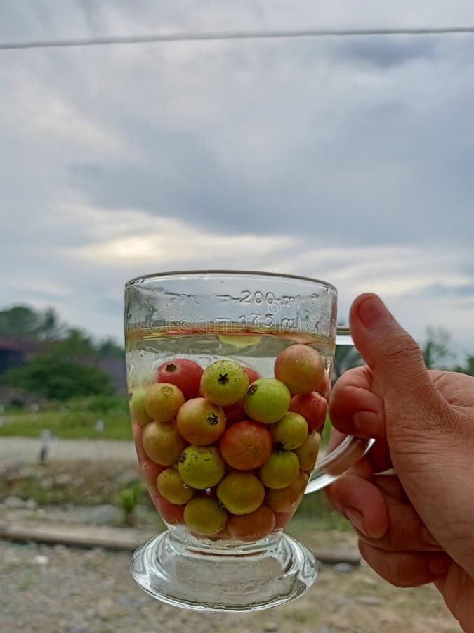 A Glass Filled with Fruit Called Little Cherries Stock Photo - Image of ...