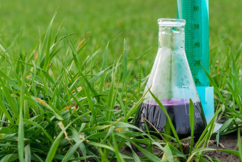 Glass Flask with a Chemical Solution Stock Image - Image of cornfield ...