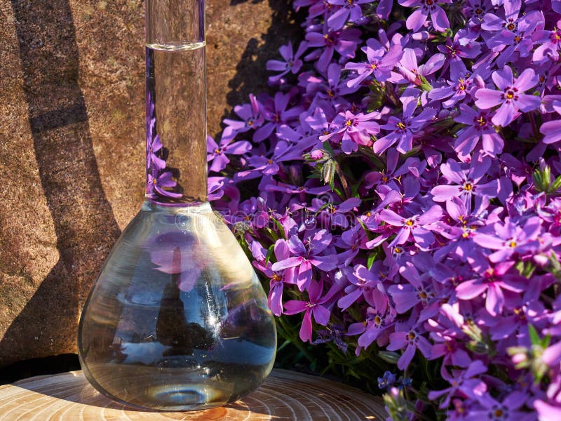 Glass Flask with Clean Drinking Water Stock Photo - Image of clear ...