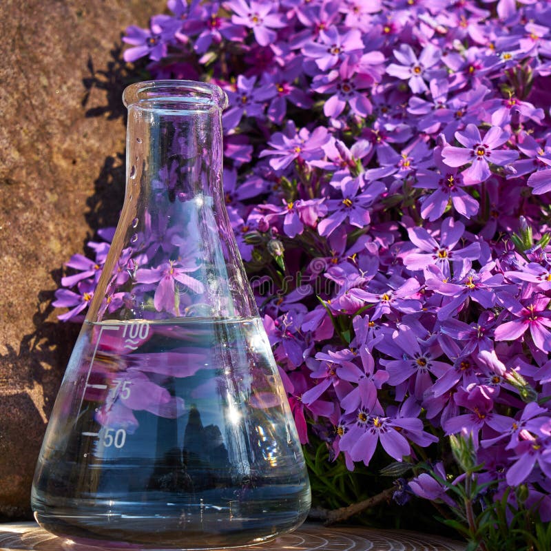 Flask with Clean Drinking Water Stock Photo - Image of oasis, brookside ...