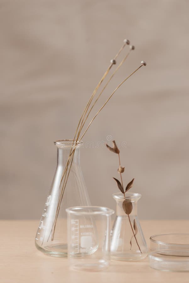 Glass Flask with Flowers on Table in Laboratory Stock Image - Image of ...