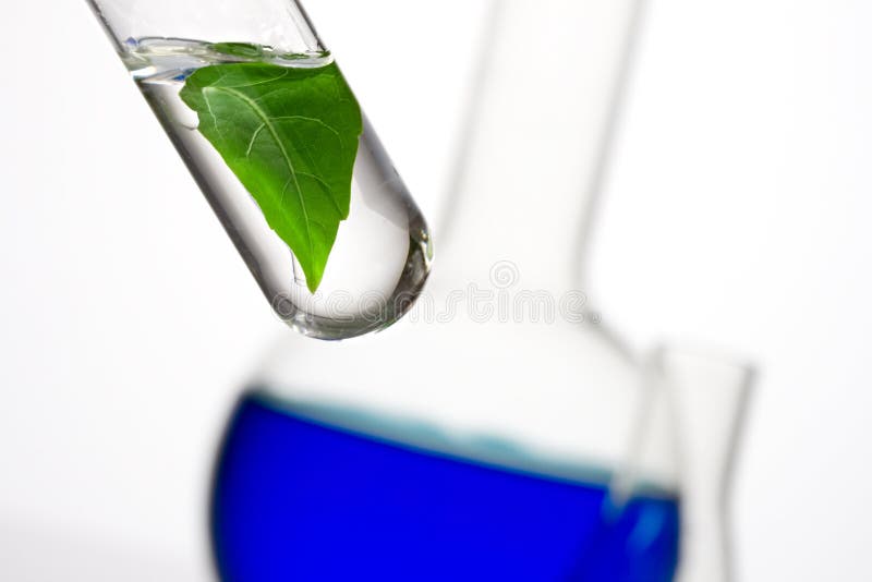 Glass flasks stock image. Image of reflection, reagent - 22451391