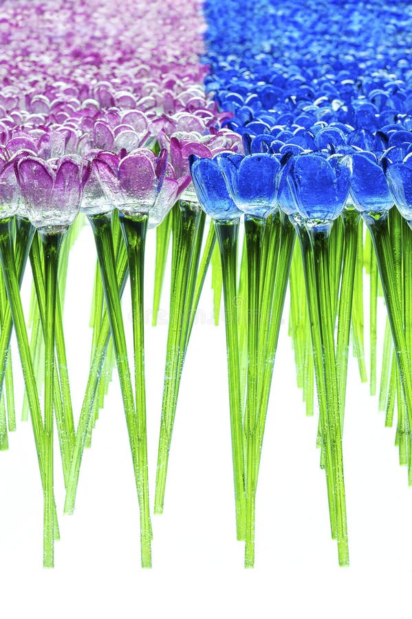 Glass Flower stock photo. Image of freshness, flower - 63690246