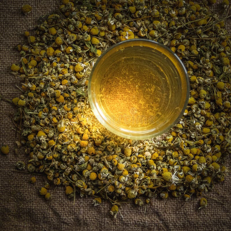 A Glass of Fresh Chamomile Tea Stock Photo - Image of flower, emotional ...