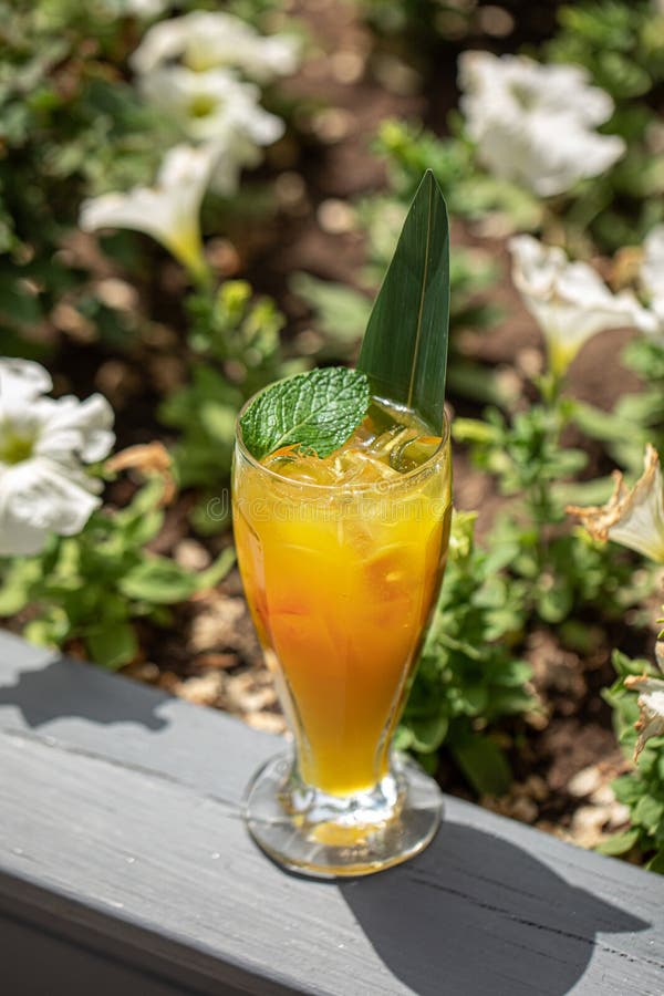 Glass of Fresh Fruit Lemonade in the Garden Stock Image - Image of ...