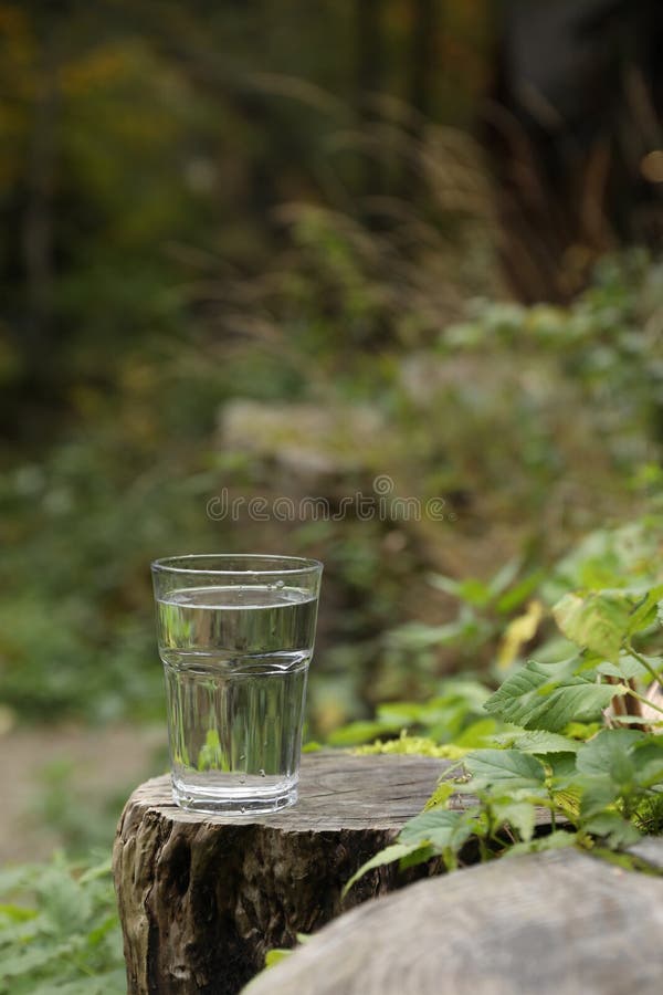 Glass of Fresh Water on Stump in Forest. Space for Text Stock Photo ...