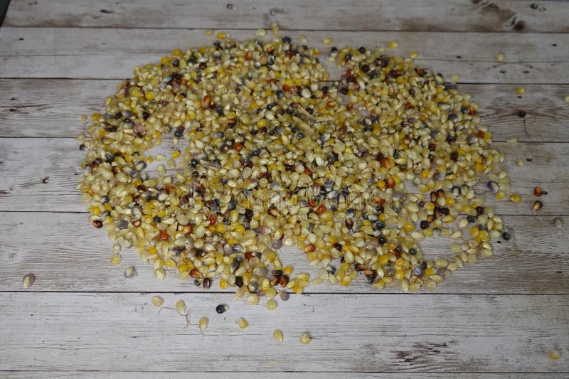 Glass Gem Corn Kernels Scattered on Rustic Wooden Table Stock Image ...