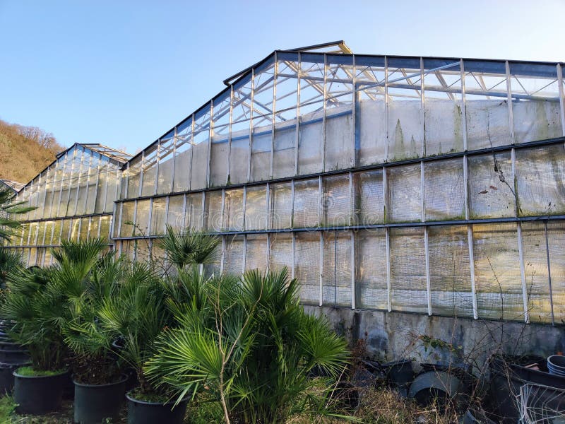 Glass greenhouse view stock image. Image of plant, nature - 212919255