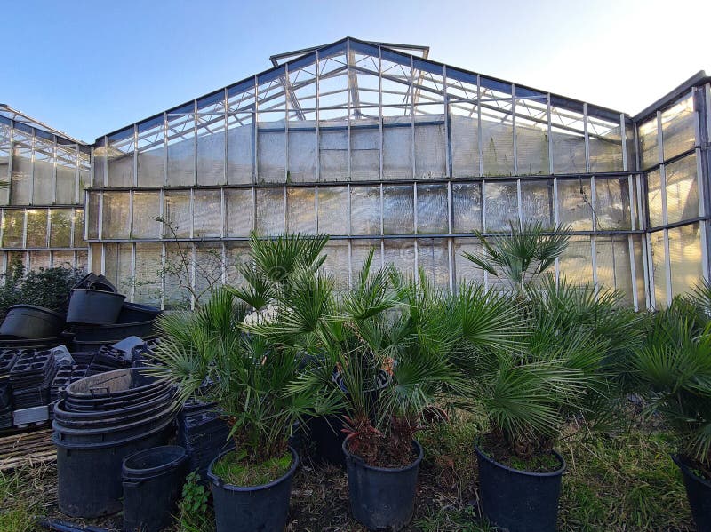 Glass greenhouse view stock image. Image of food, glass - 212919259