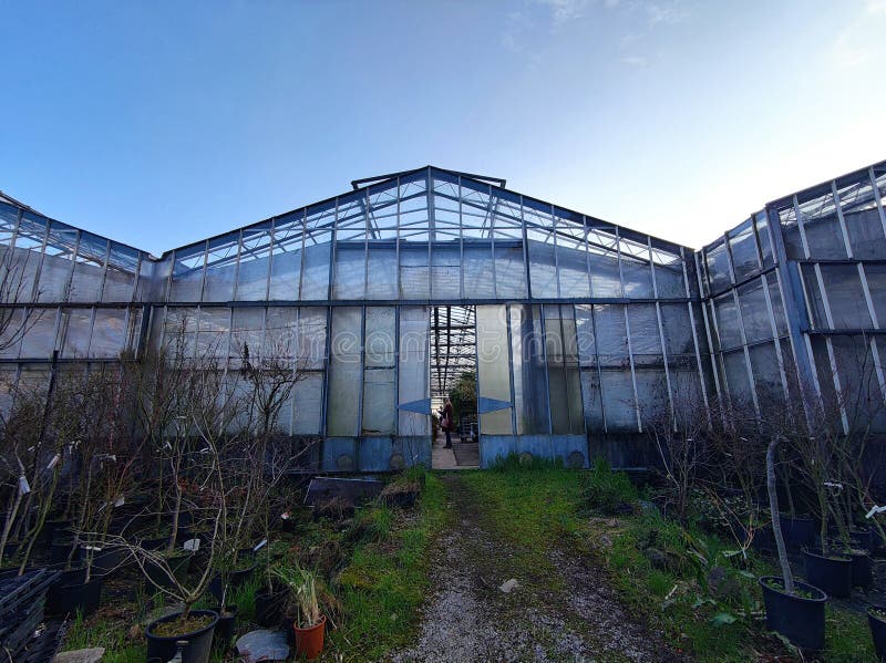 Glass greenhouse view stock image. Image of hothouse - 212919261