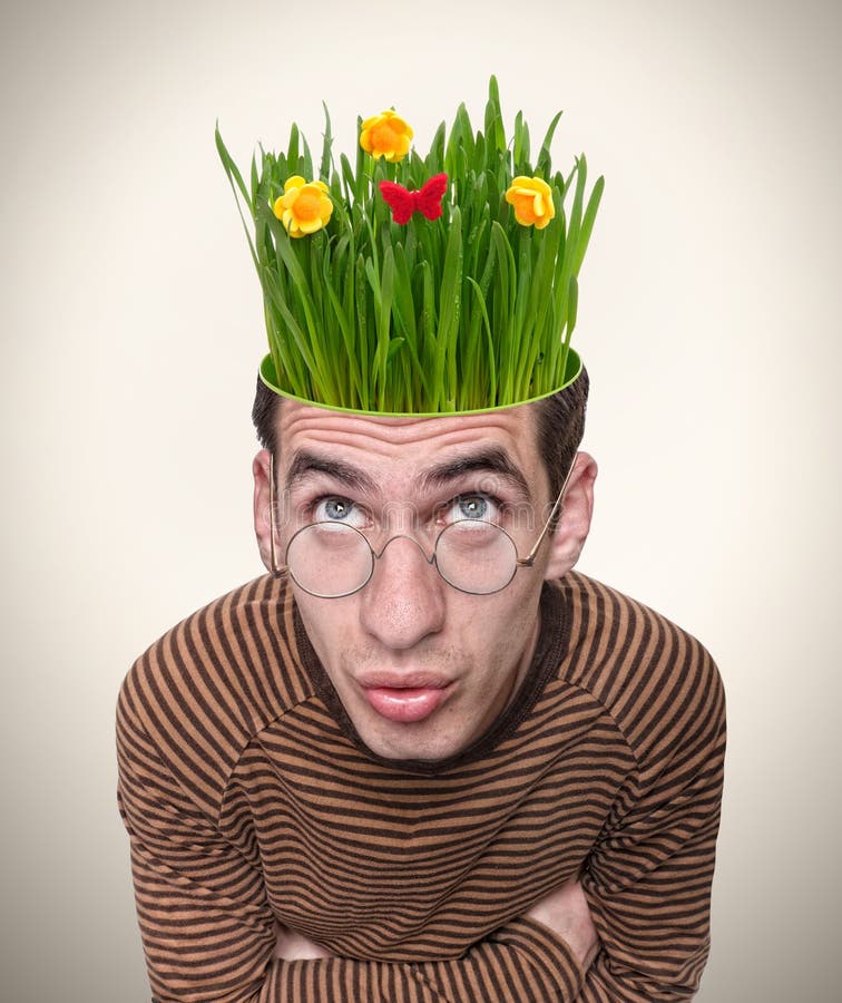 Grass hair stock photo. Image of ecology, head, holding - 8935454