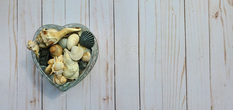 A Glass Heart Shaped Container Filled with Assorted Sea Shells Stock ...