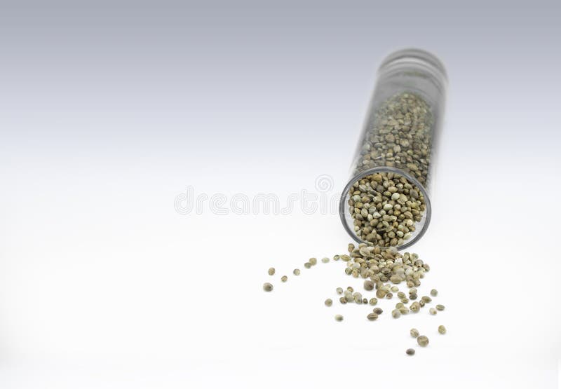 Glass with hemp seeds stock photo. Image of marijuana - 59155814