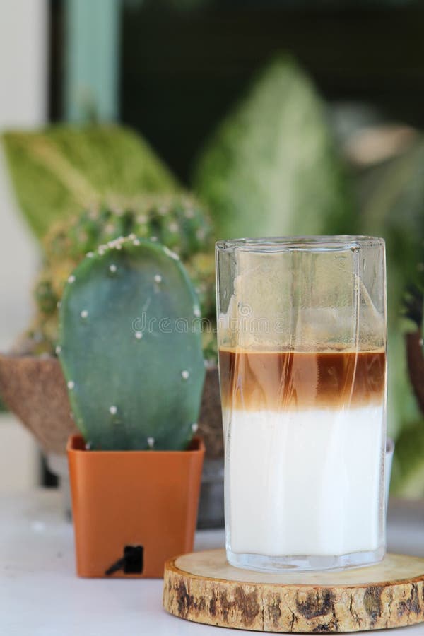 Hot coffee and cactus stock photo. Image of design, latte - 213169968