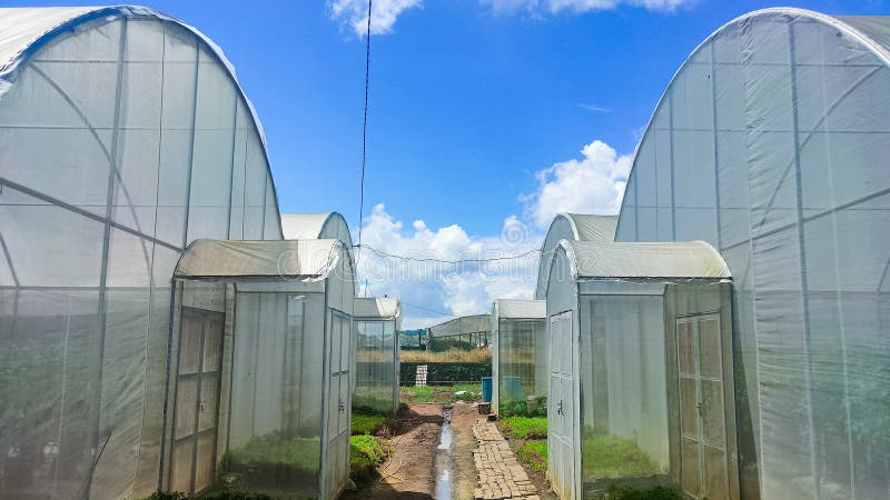 Glass House with Beautiful Natural Views Stock Photo - Image of ...