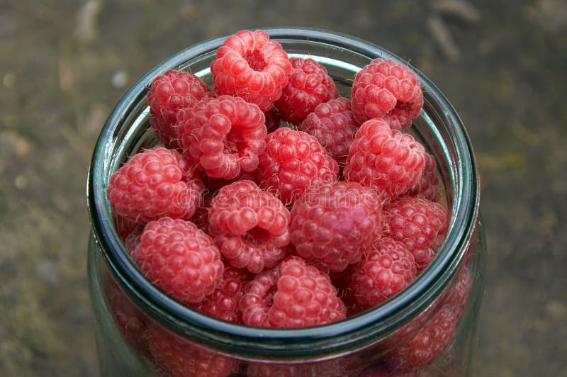 Glass Jar Filled with Raspberries Stock Image - Image of nature, ripe ...
