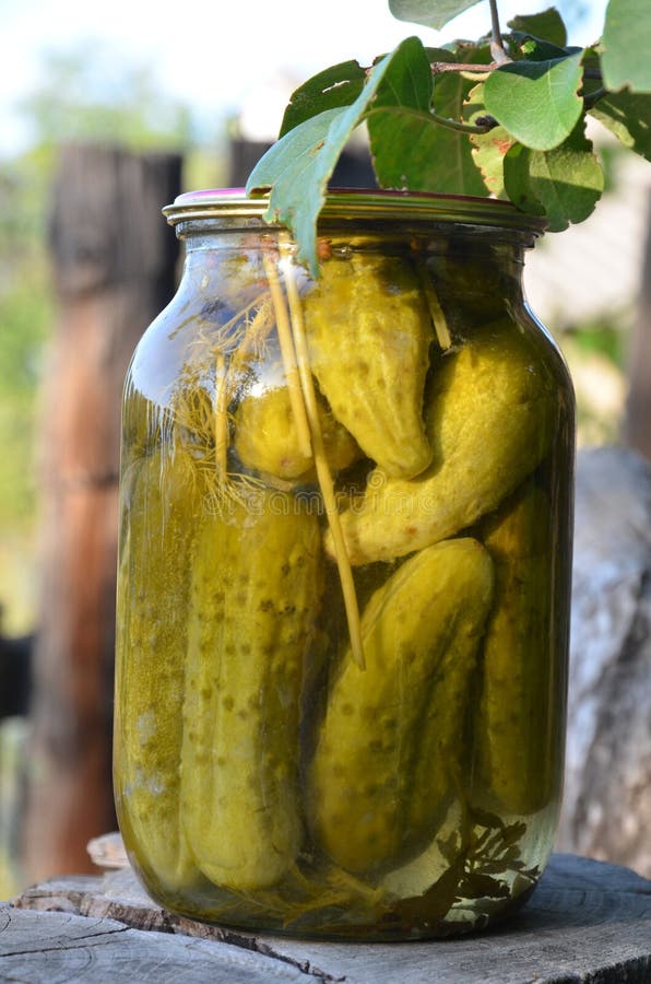 A Glass Jar with Medium-sized Canned Cucumbers Stands on a Stump. Stock ...