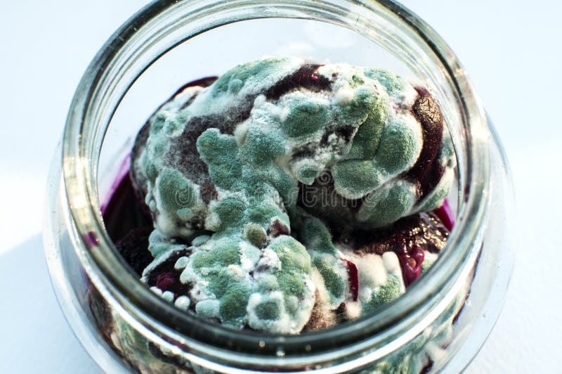 Glass Jar with Moldy Beetroot Stock Image - Image of motley, container ...