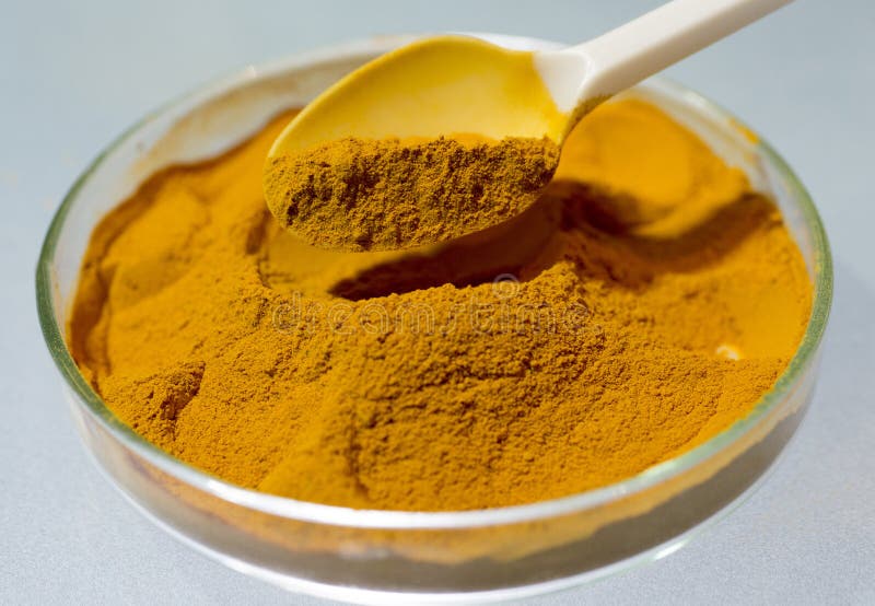 Laboratory Petri Dishes in Science Research Lab Stock Image - Image of ...