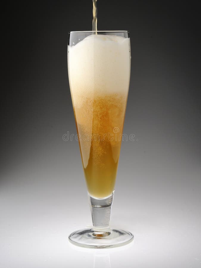 Tall glass of lager stock image. Image of beer, glasses - 56019291