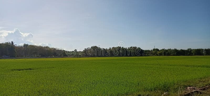 Glass land stock image. Image of field, plain, hill - 182930607