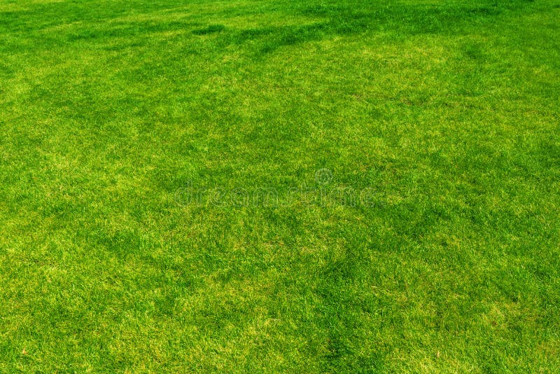 A Glass of Lemonade and Cut Lemon on a Red Table Stock Photo - Image of ...