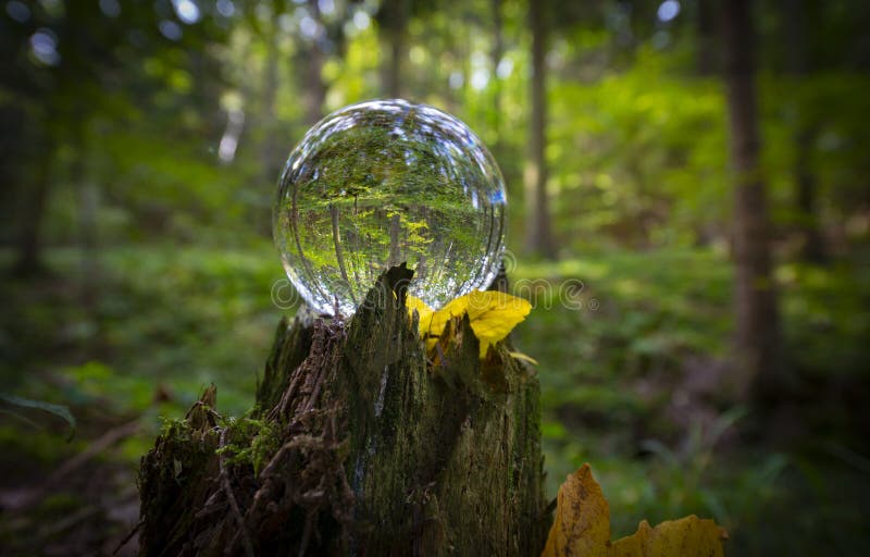 Glass Lens Ball with Forest Reflection Stock Image - Image of landscape ...