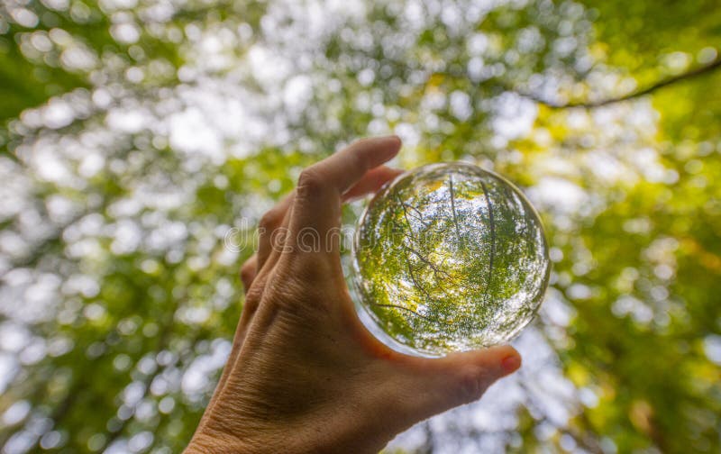 Glass Lens Ball with Forest Reflection Stock Photo - Image of ecology ...