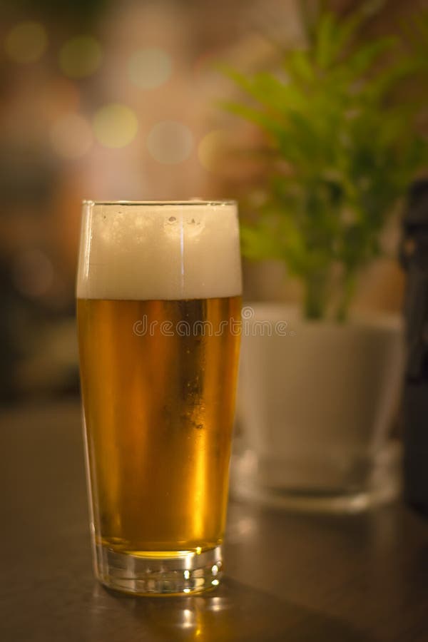 Glass of Light Beer on a Dark Pub Stock Photo - Image of night, light ...