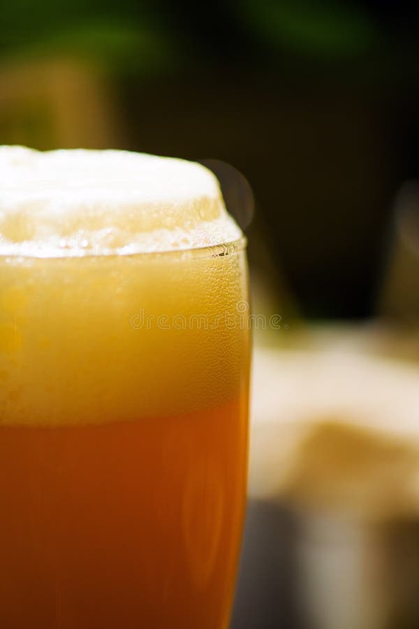 Glass of light beer stock photo. Image of light, alcohol - 156041958
