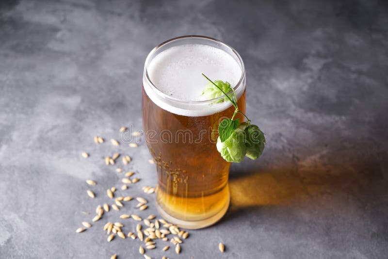 Glass of Light Beer on a Gray Background, Flat Lay Stock Image - Image ...