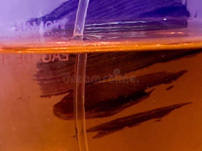 Bar Mushroom Tea Stock Photos - Free & Royalty-Free Stock Photos from ...