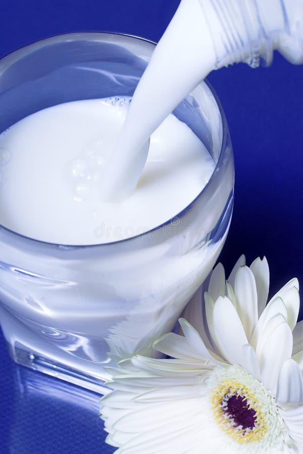 Glass of milk stock photo. Image of creamy, ingredient - 3119402