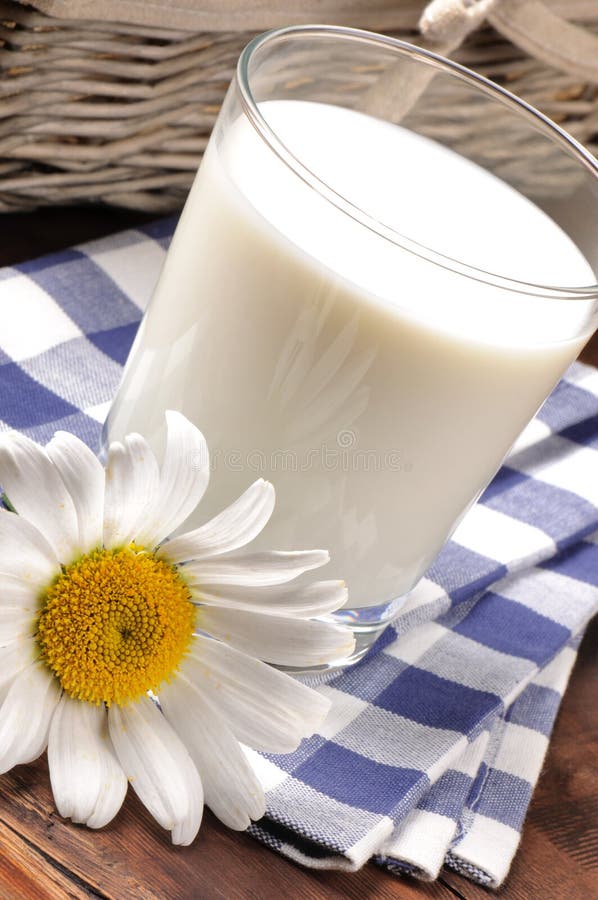 Glass of milk with daisy stock photo. Image of handle - 20865696