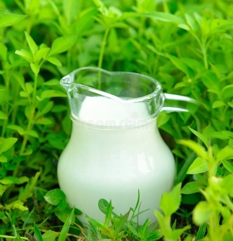 Glass of Milk on Green Glass Stock Photo - Image of fresh, cold: 75740520