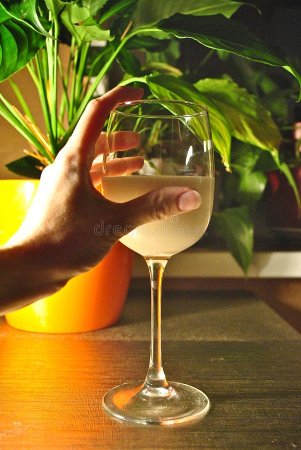 A Glass of Milk on a Table in the Evening Light Stock Image - Image of ...
